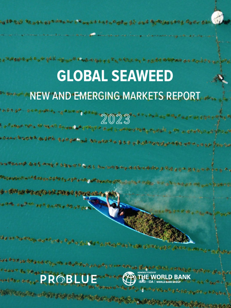 World Bank Report 2023 | PDF | Seaweed | Aquaculture