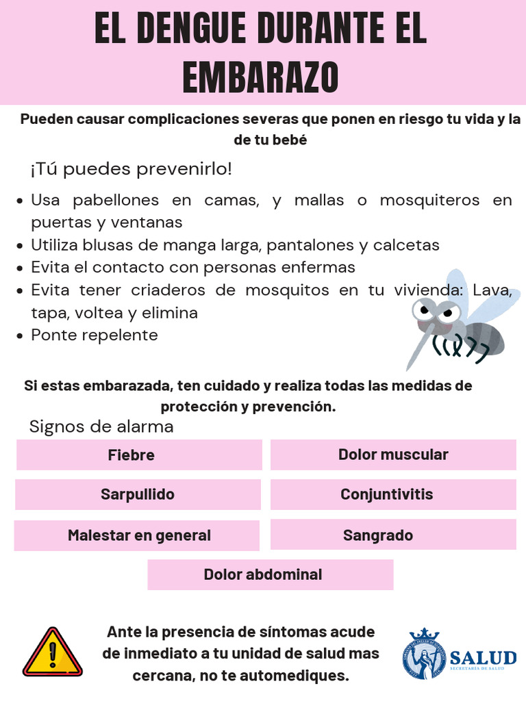 Cartel Dengue | PDF
