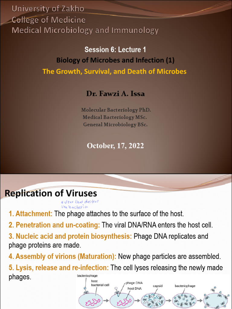 S6-L1 Biology of Microbes and Infection | PDF | Antimicrobial ...