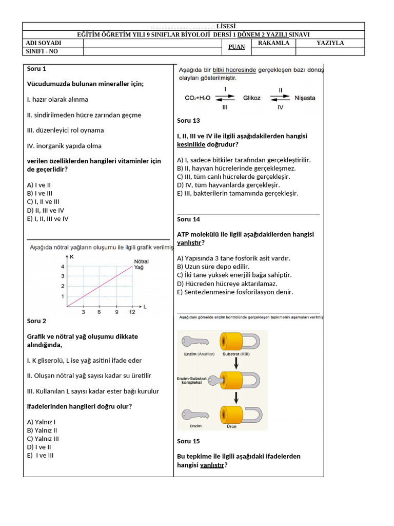 Biyo 9 Sinifyazil 2 Done 1 N 7 | PDF