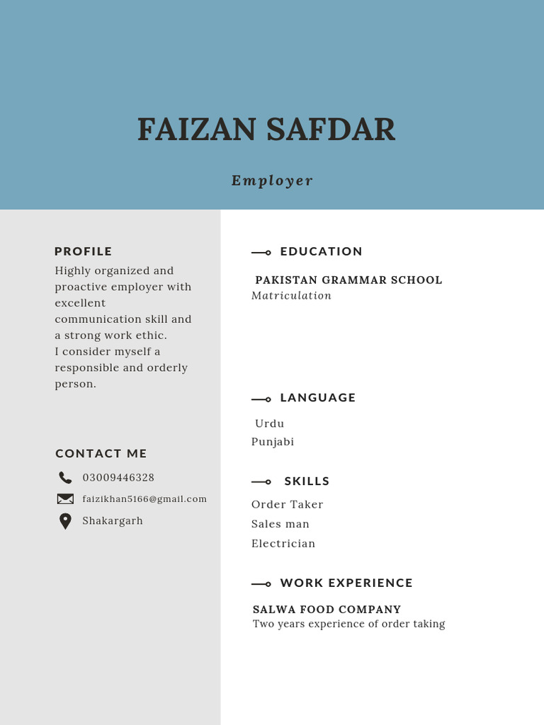 Faizan Safdar CV | PDF