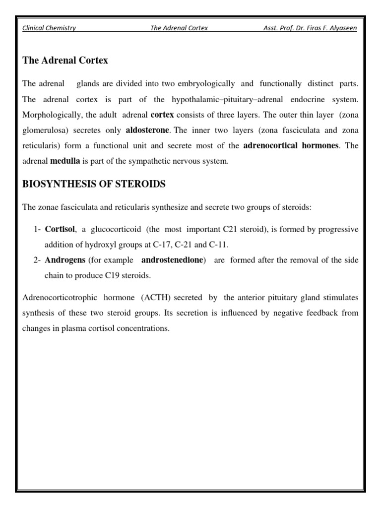 Adrenal Cortex Function & Disorders | PDF | Adrenal Gland | Cortisol