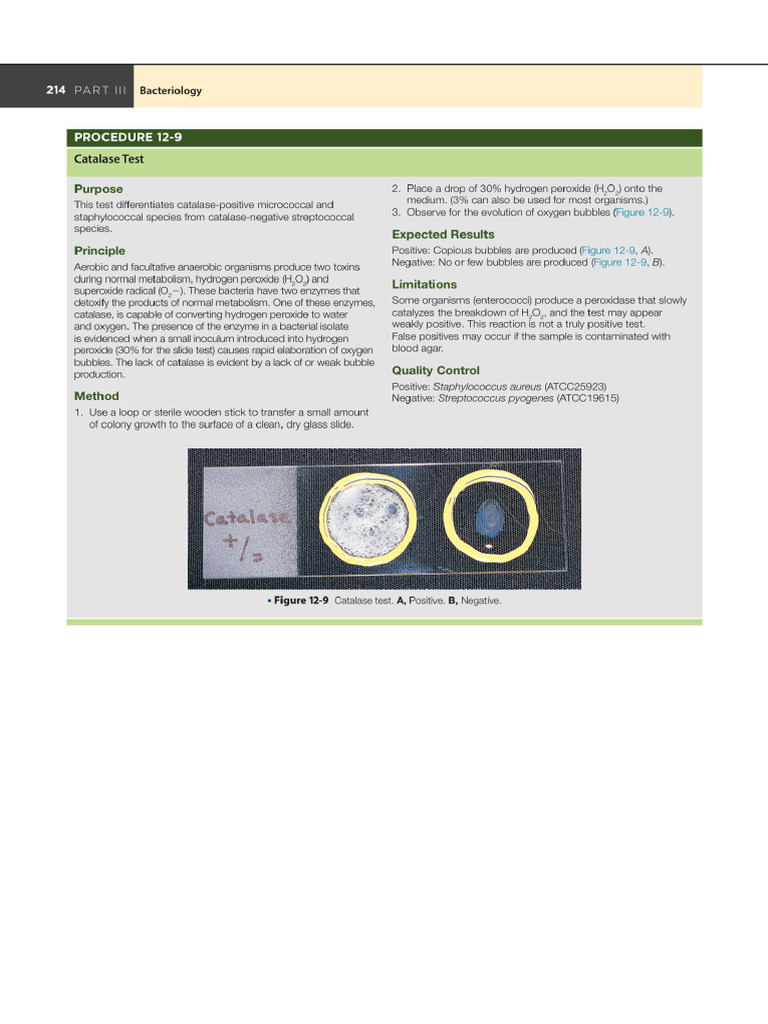 Microbiology Biochemical Tests | PDF