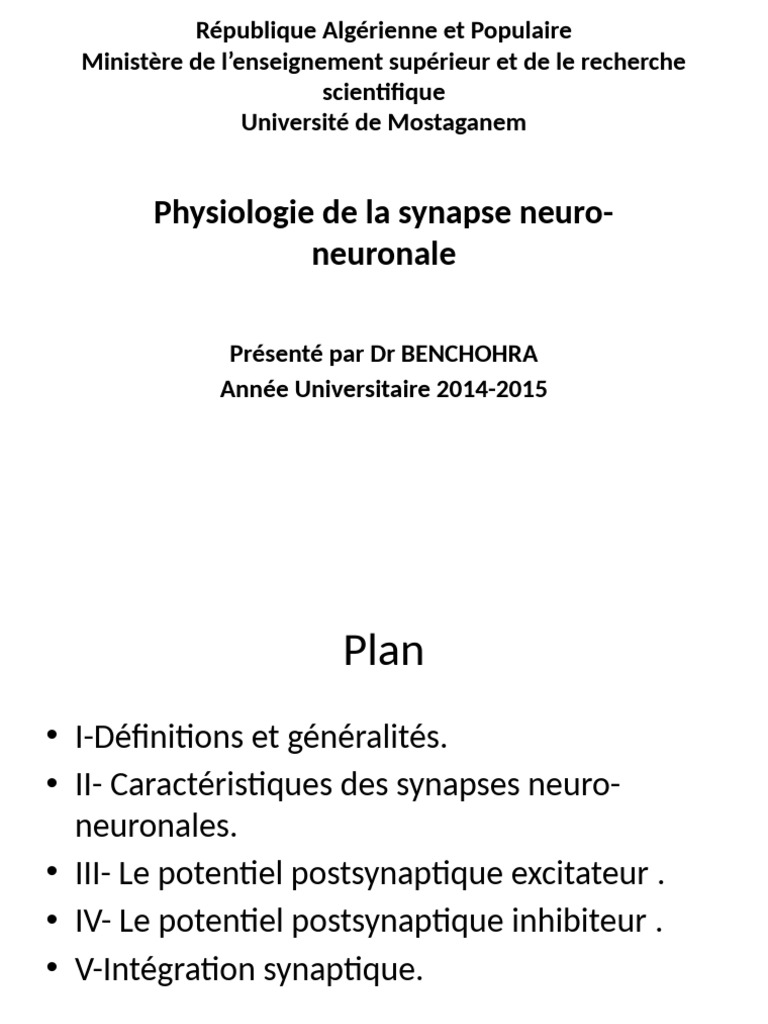 03-Physiologie de La Synapse Neuroneuronale.ppt | PDF | Potentiel postsynaptique excitateur ...