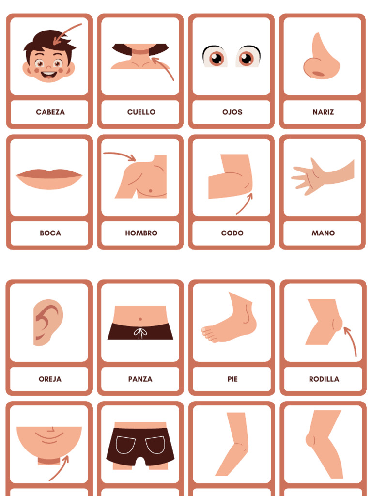 Tarjetas Partes Del Cuerpo | PDF