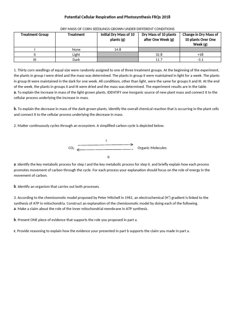 Biology Exam Prep: Photosynthesis & Respiration | PDF | Photosynthesis ...