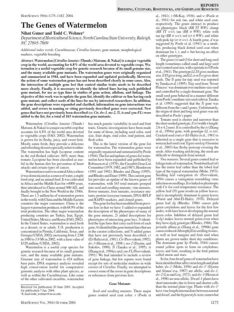 The Genes of Watermelon | PDF | Watermelon | Dominance (Genetics)