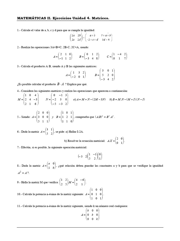 Ejercicios Matrices (1 | PDF
