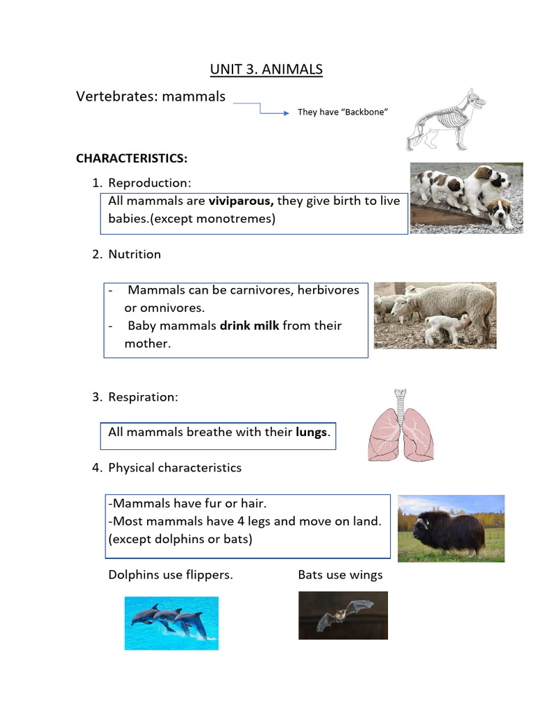 UNIT 3.mammals | PDF