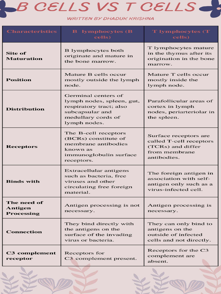 B Cells Vs T Cells - Compressed | PDF