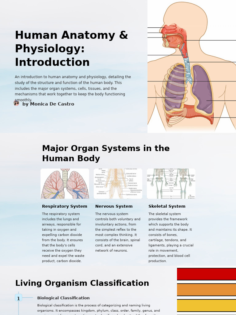 Human Anatomy and Physiology Overview | PDF | Biotechnology | Cellular ...