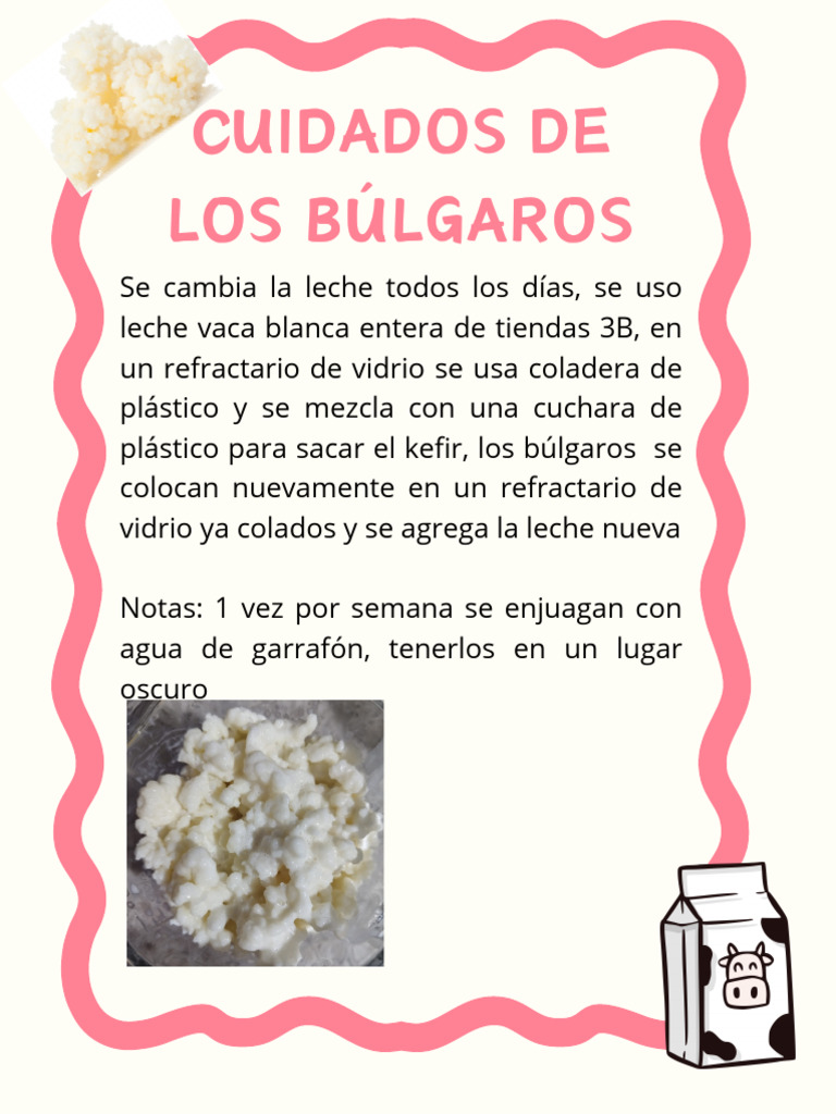 Cuidados para Búlgaros de Kefir | PDF