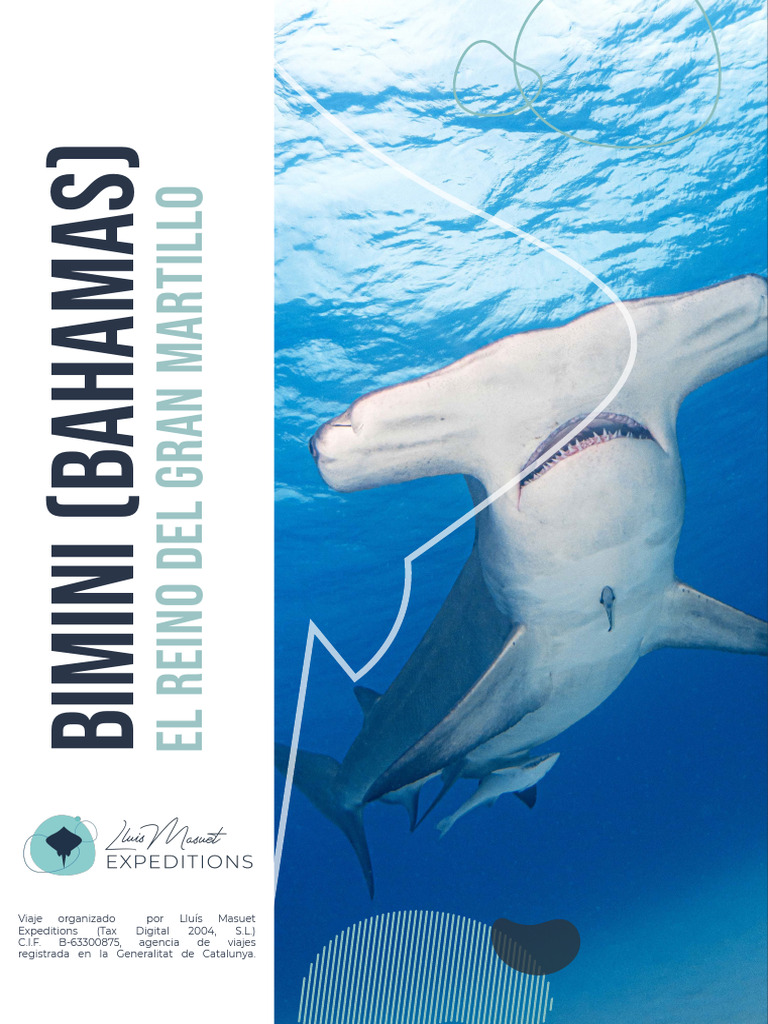 BH 0125 Programa2 | PDF