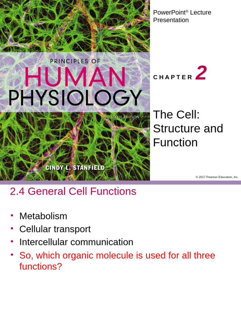 CH - 02 - Lecture - Protein Synthesis | PDF | Translation (Biology ...