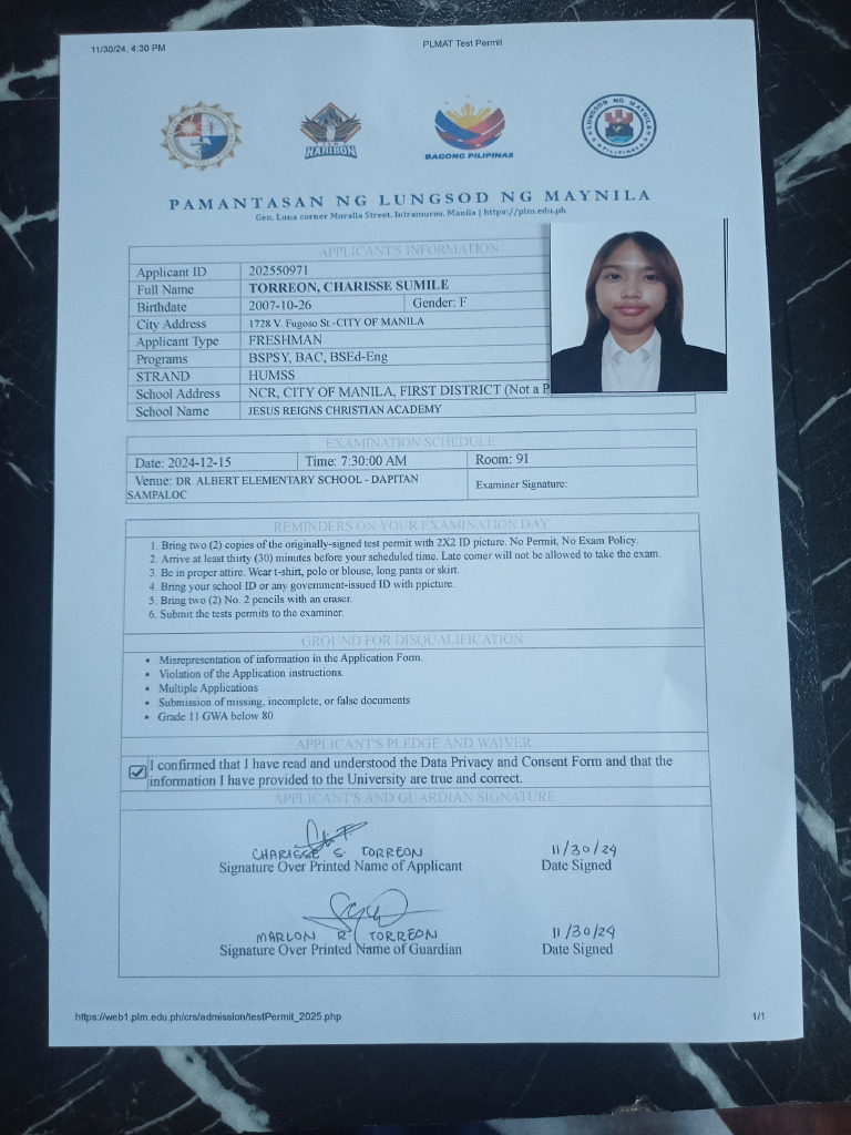 PLMAT_TEST_PERMIT_TORREON_20241130_165808_0000 | PDF