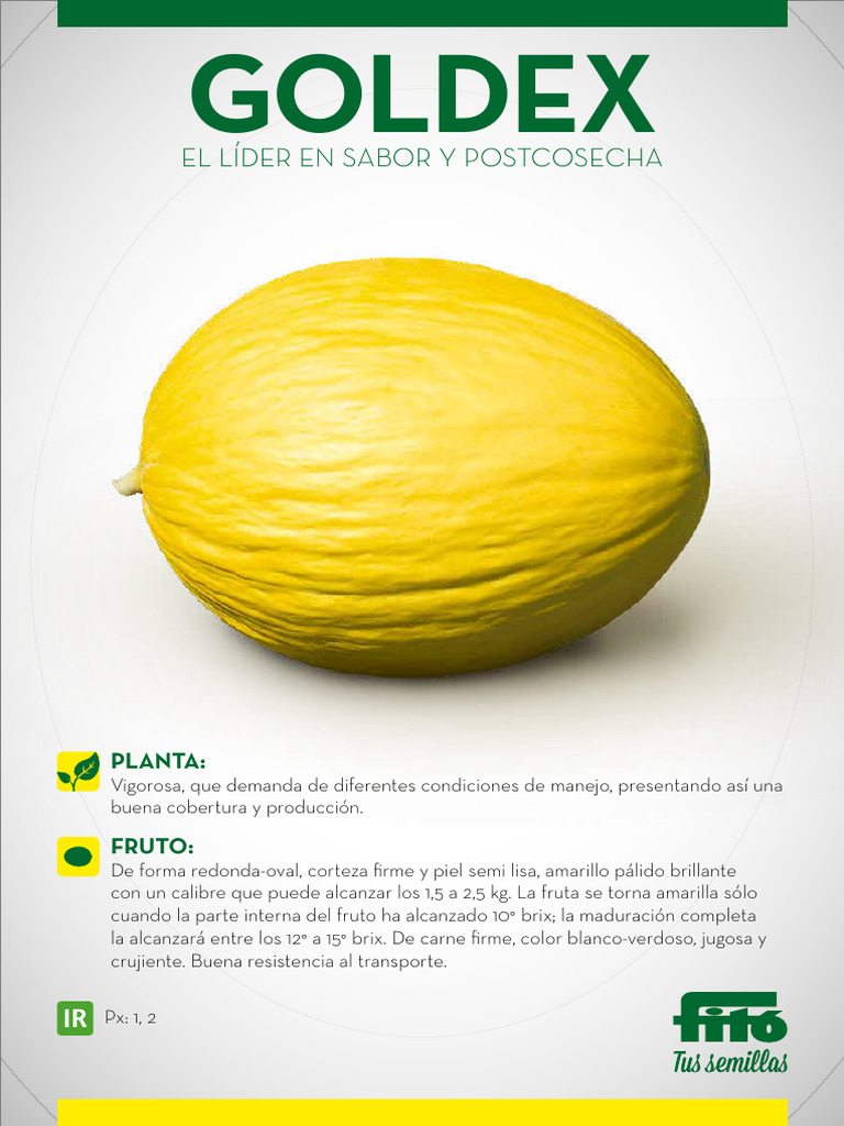 Goldex: Fruto de Calidad y Postcosecha | PDF