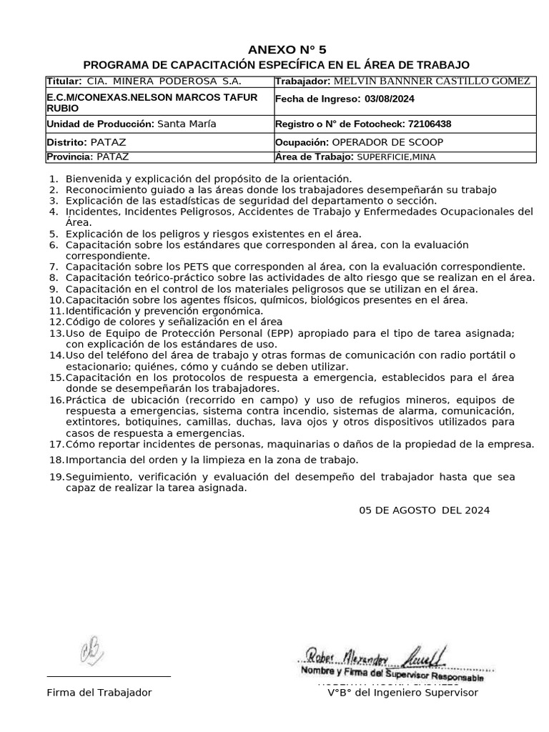 ANEXO N 5 MELVIN | PDF | La seguridad