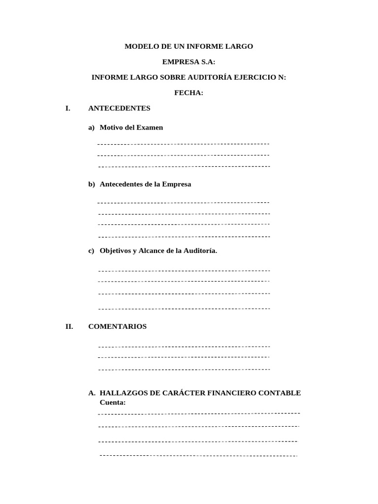 Modelo de Informe Largo de Auditoría | PDF