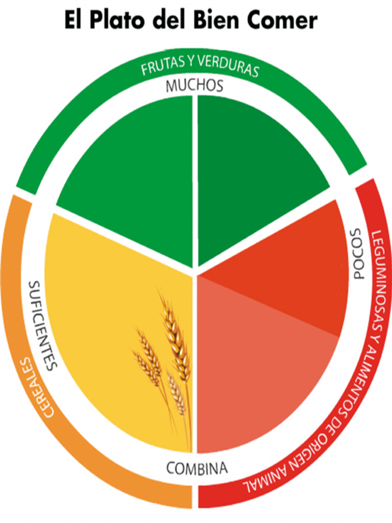 Lona 100x100cm | PDF