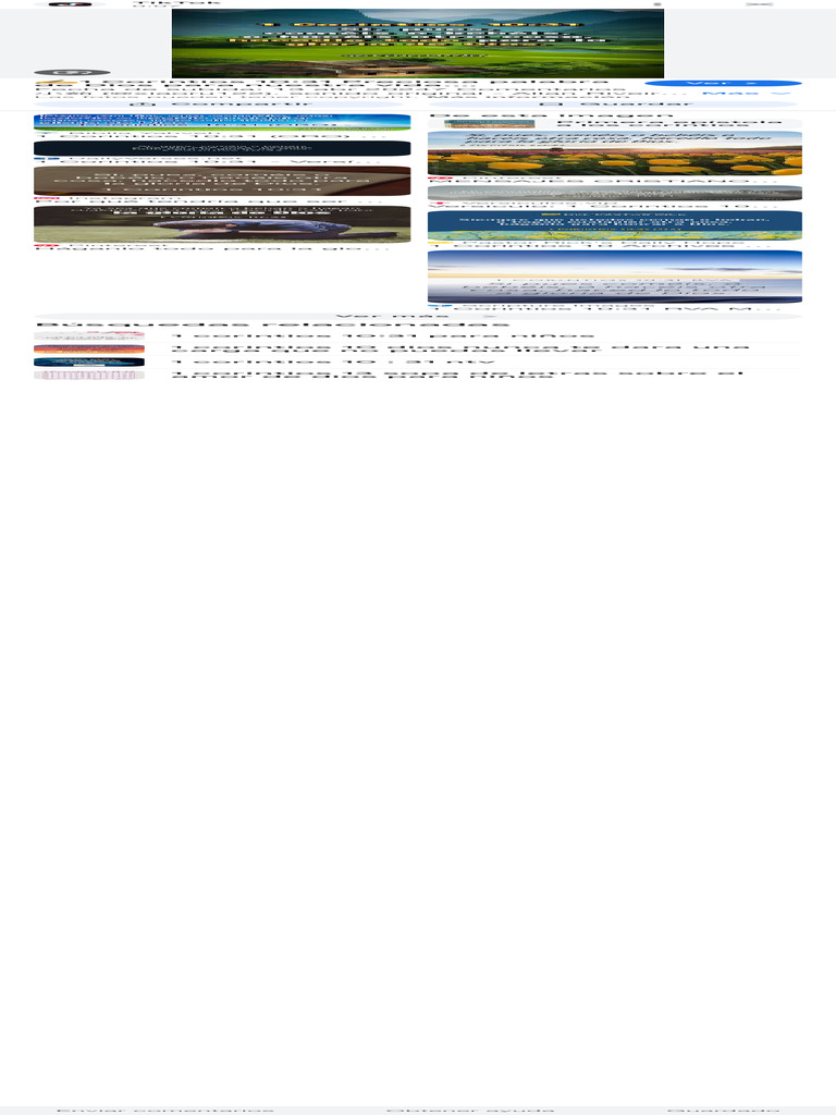 Captura de pantalla 2024-12-29 a la(s) 4.05.26 p. m. | PDF