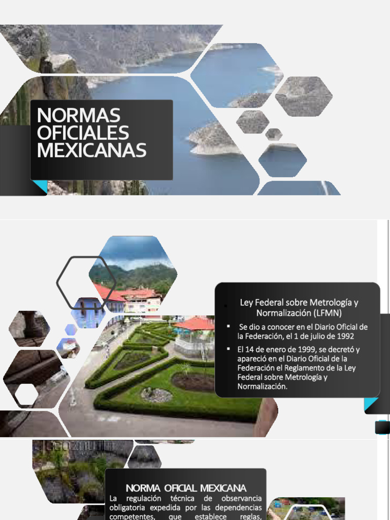 Normas Oficiales Mexicanas | PDF
