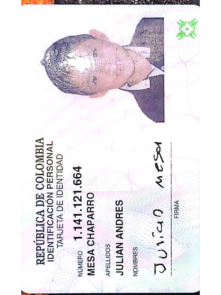 Leidy Chaparro | PDF