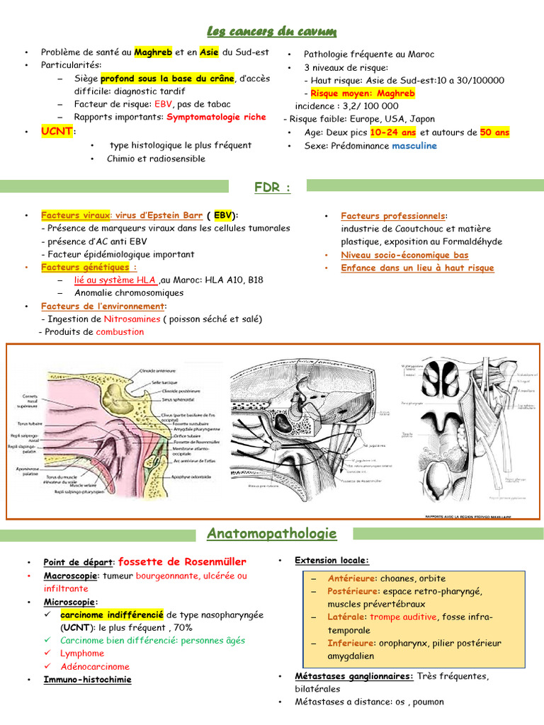 Cancers du cavum : diagnostic et traitement | PDF | Cancer | Métastase