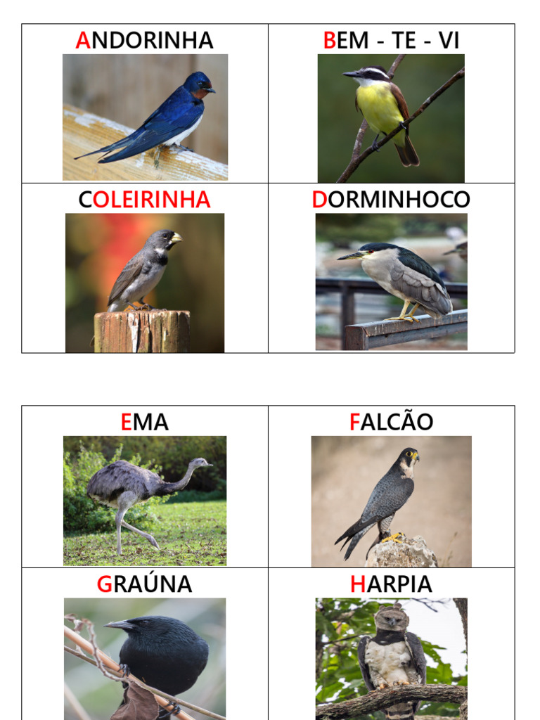 Lista de Aves Brasileiras | PDF