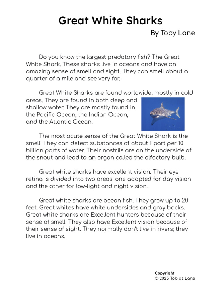 Great White Sharks | PDF