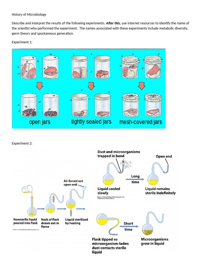 Chapter 1 Activity | PDF