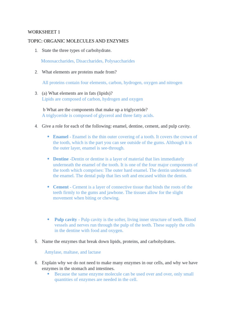 Bio worksheet | PDF | Digestion | Tooth Enamel