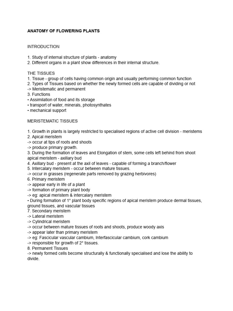 Anatomy of Flowering Plants | PDF | Leaf | Plant Stem