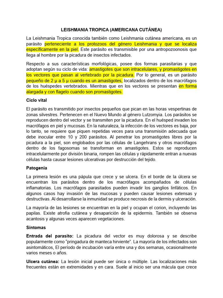 Leishmania Tropica | PDF | Leishmania | Piel