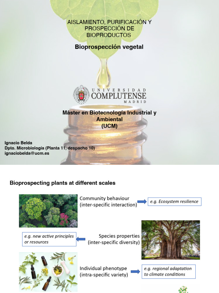Bioprospecting and Plant Bioactive Compounds | PDF | Alkaloid ...