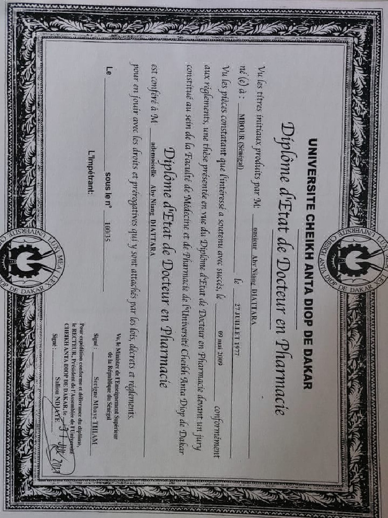 Document WPS Office | PDF