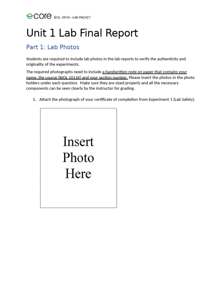 Unit 1 Lab Final Report | PDF