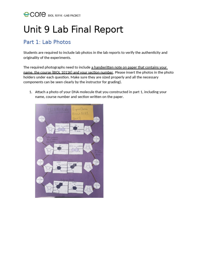 Archer Unit9 FinalReport | PDF | Nucleotides | Nucleic Acids
