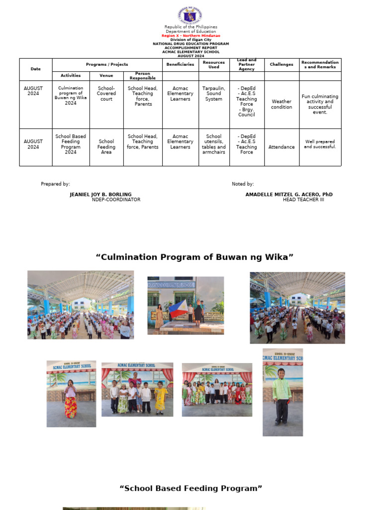 NDEP-Report-ACES August-2024 | PDF | Philippines