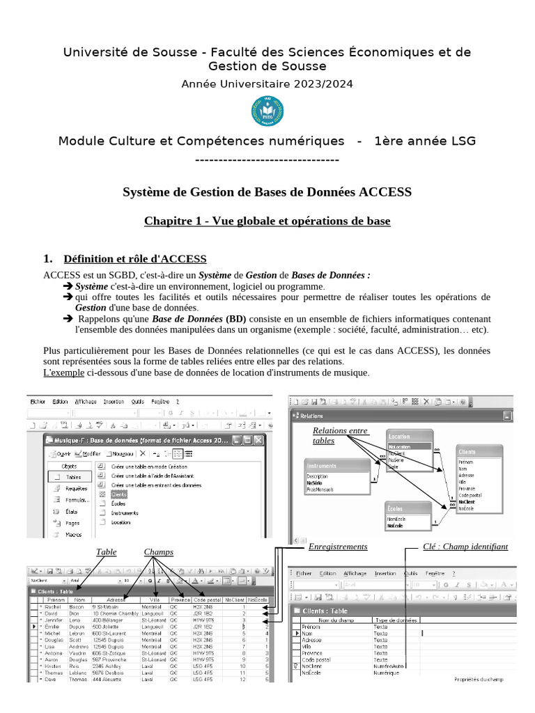 Introduction à Microsoft Access 2023 | PDF | Bases de données ...