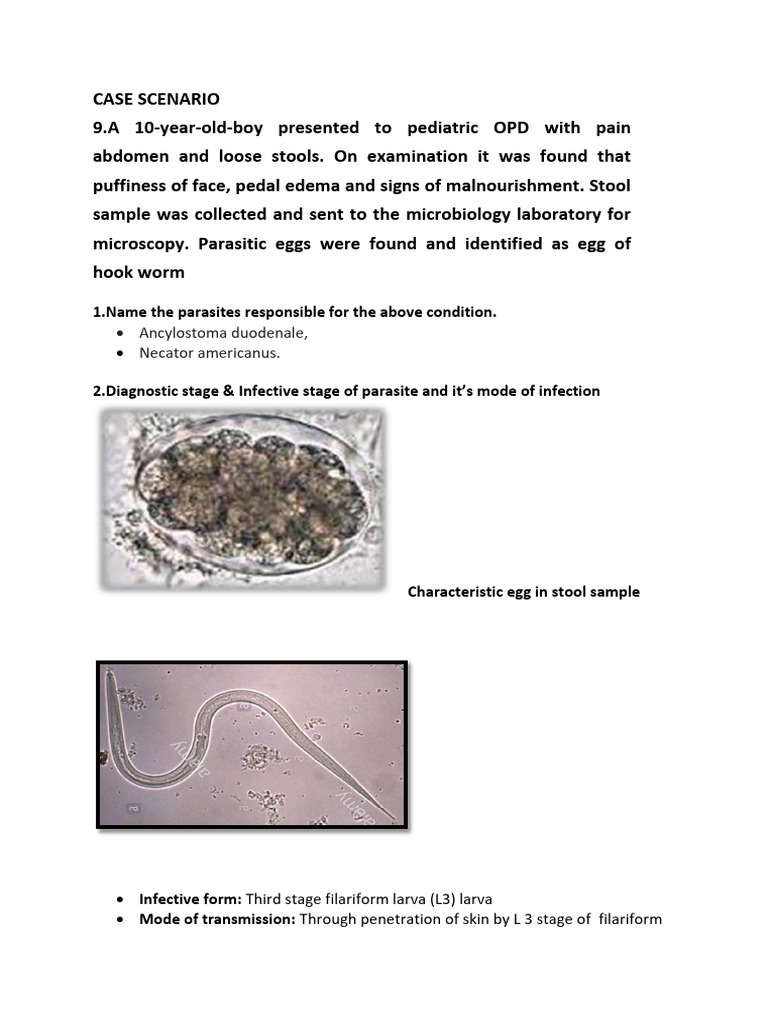 Hookworm Infection in Children: Diagnosis & Treatment | PDF
