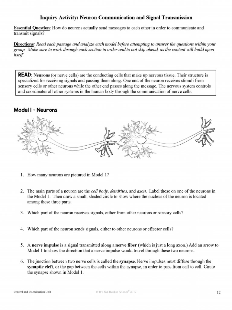 Annotated-Inquiry Activity - Neuron Communication & Signal Transmission | PDF