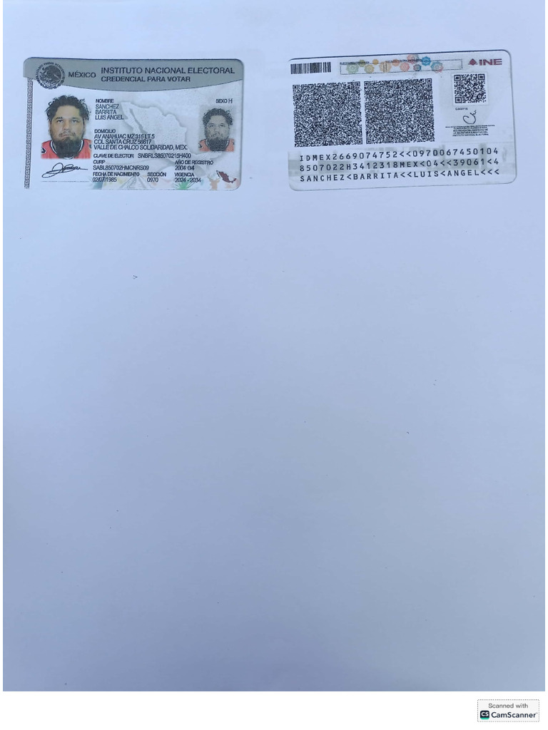 VTA Solutions: Cédula de Determinación | PDF