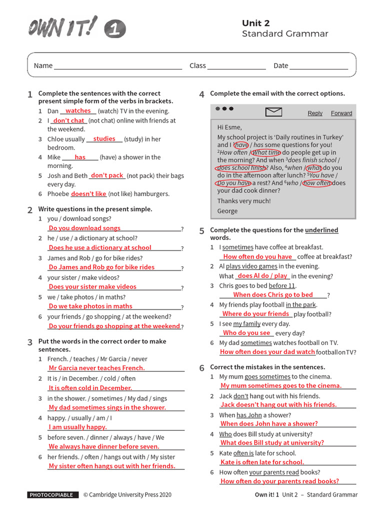 Standard Grammar Unit2 With Answers | PDF | Syntax | Grammar