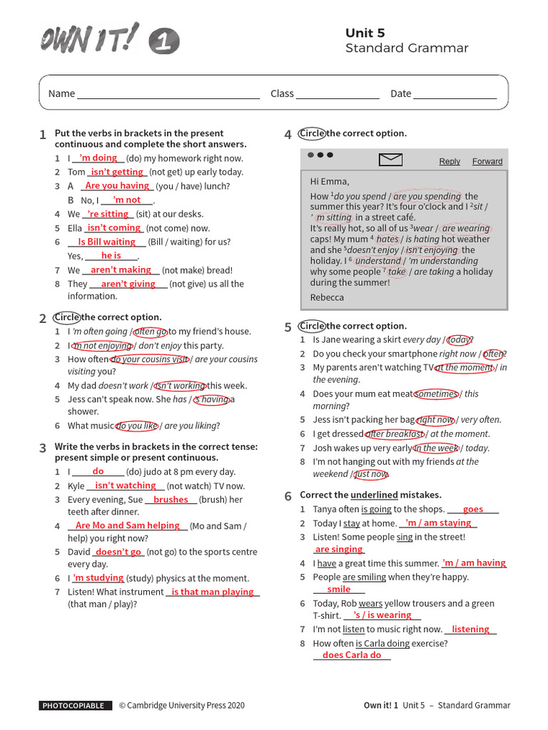 Standard Grammar Unit5 With Answers | PDF