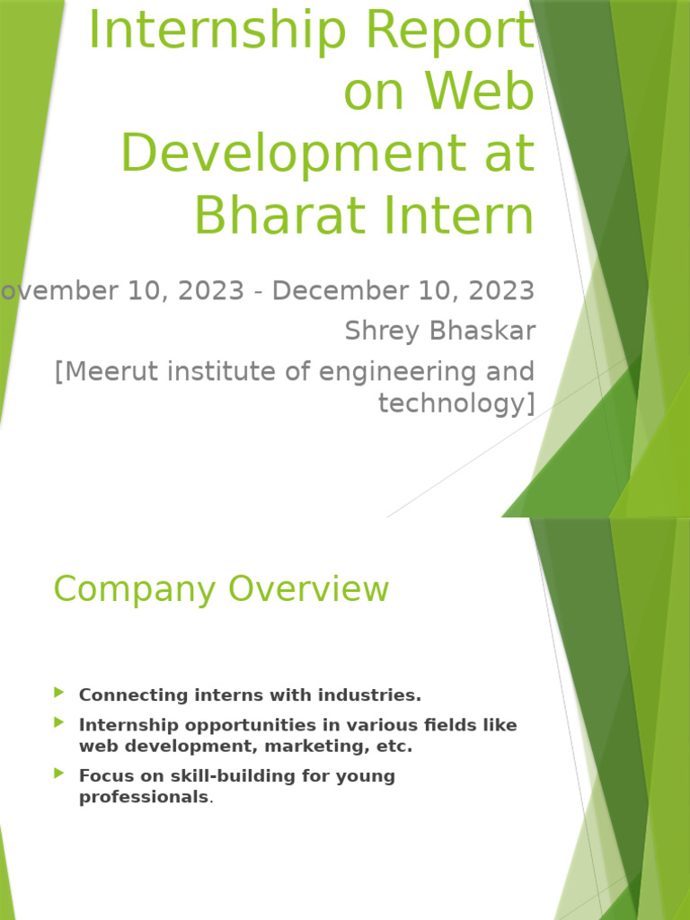 Web Development Internship Report | PDF