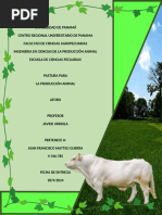 Ficha Técnica Del Pasto Marandú (Brachiaria Brizantha Cv. Marandú ...