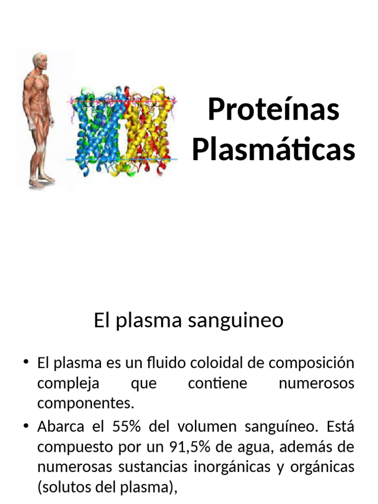 Funciones y Composición del Plasma Sanguíneo | PDF | Plasma sanguíneo ...