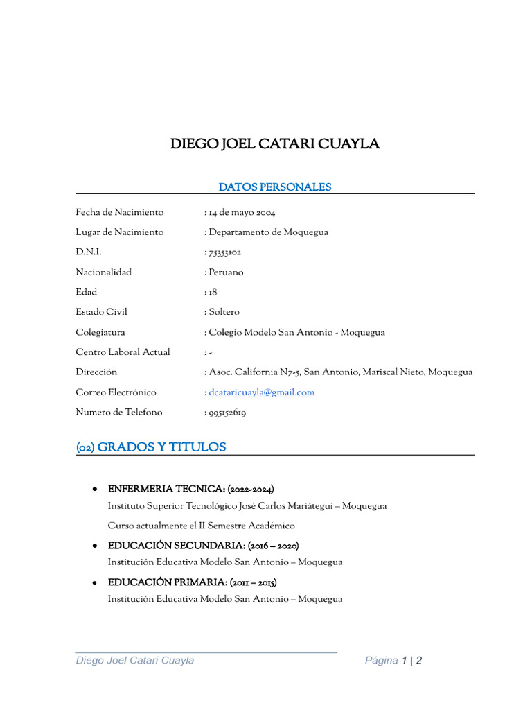 CV DIEGO | PDF
