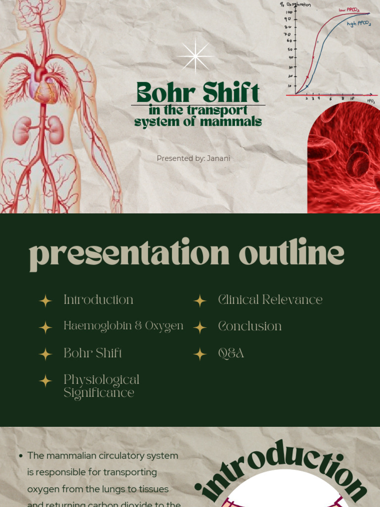 Bohr Shift Presentation | PDF | Hemoglobin | Physiology