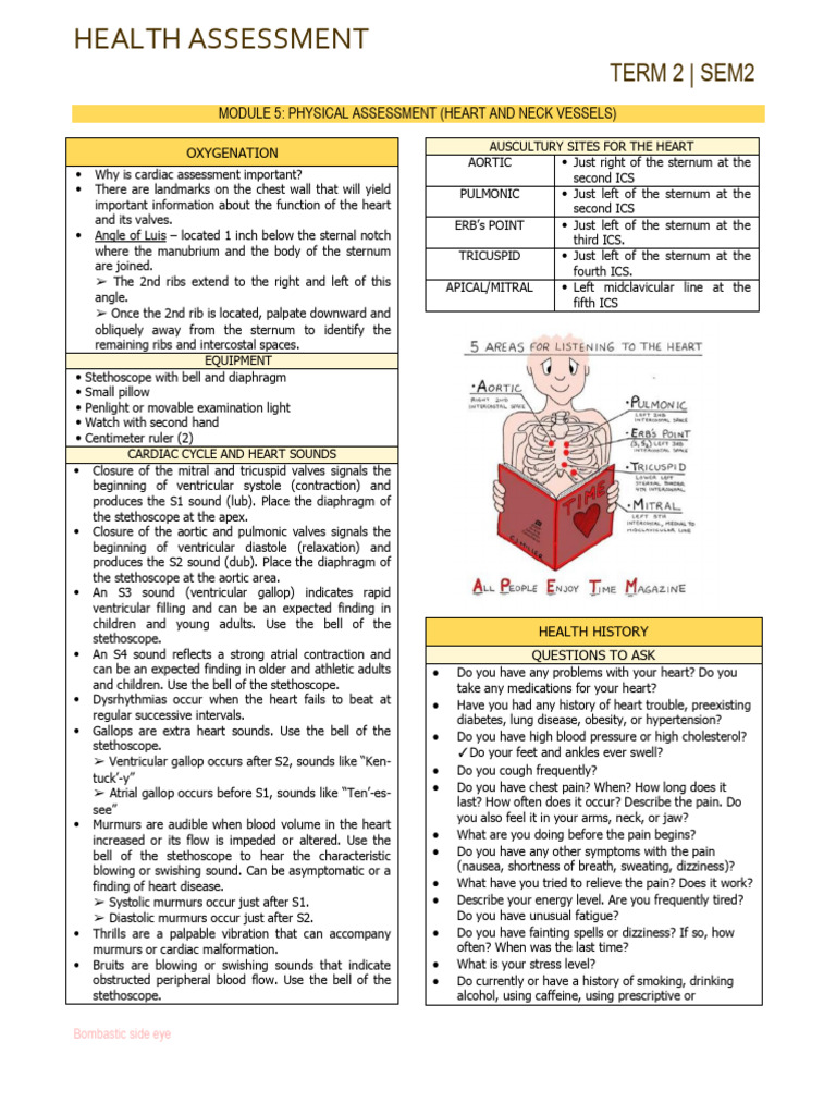 NCM 101 Heart and Neck Vessels | PDF | Heart | Pulse